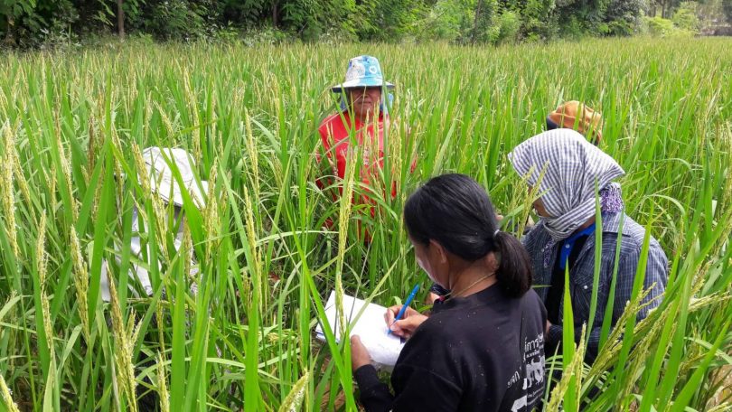 Poverty Mitigation Project to solve and develop the living of ...