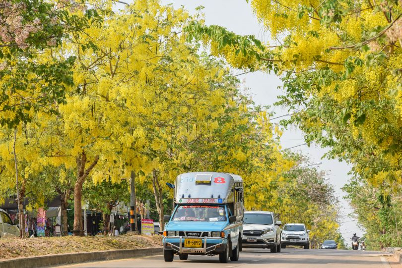 KKU shuttle bus service information - KHON KAEN UNIVERSITY