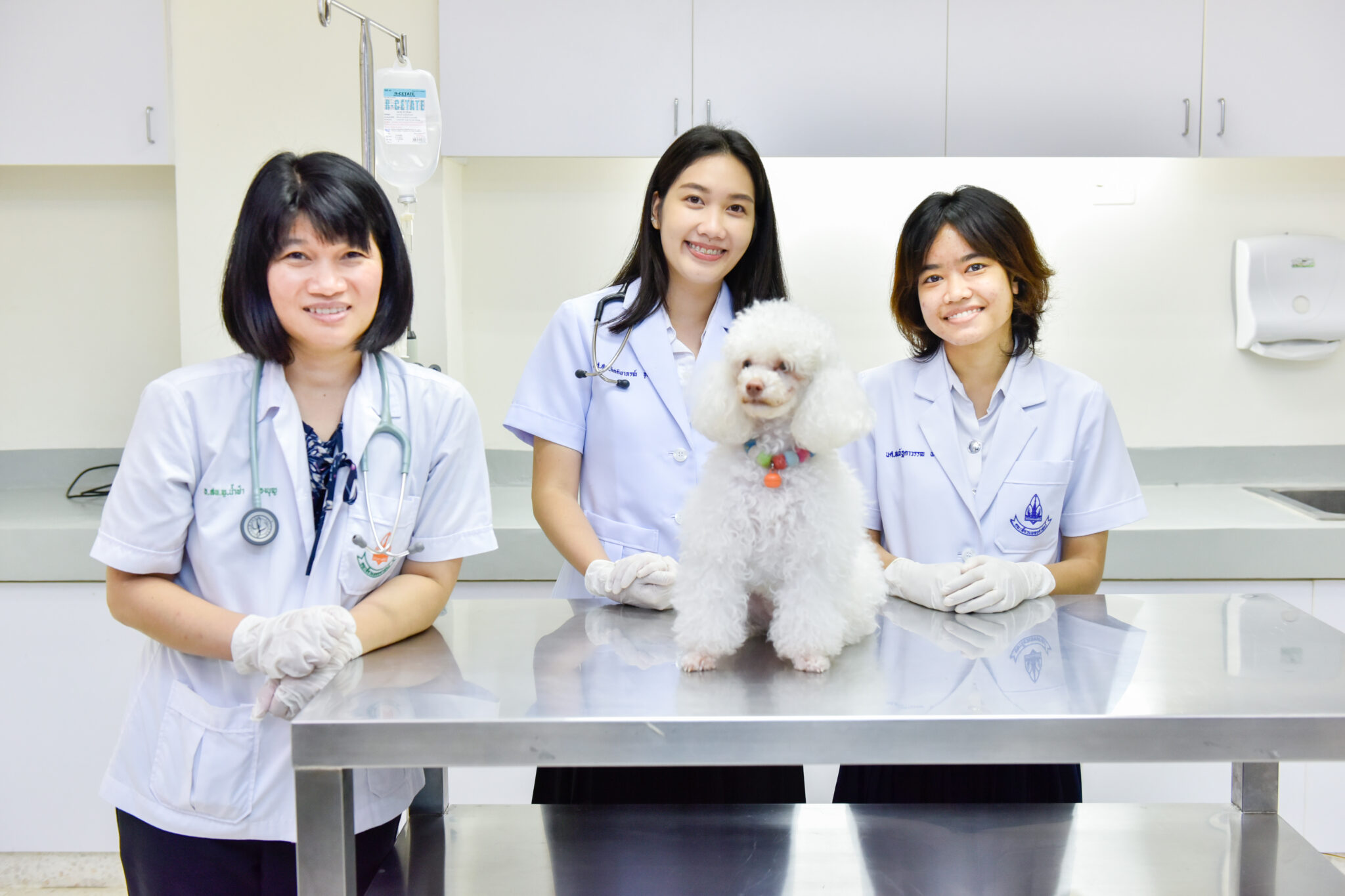 Faculty of Veterinary Medicine joins MBA, KKU, to offer a dual degree ...
