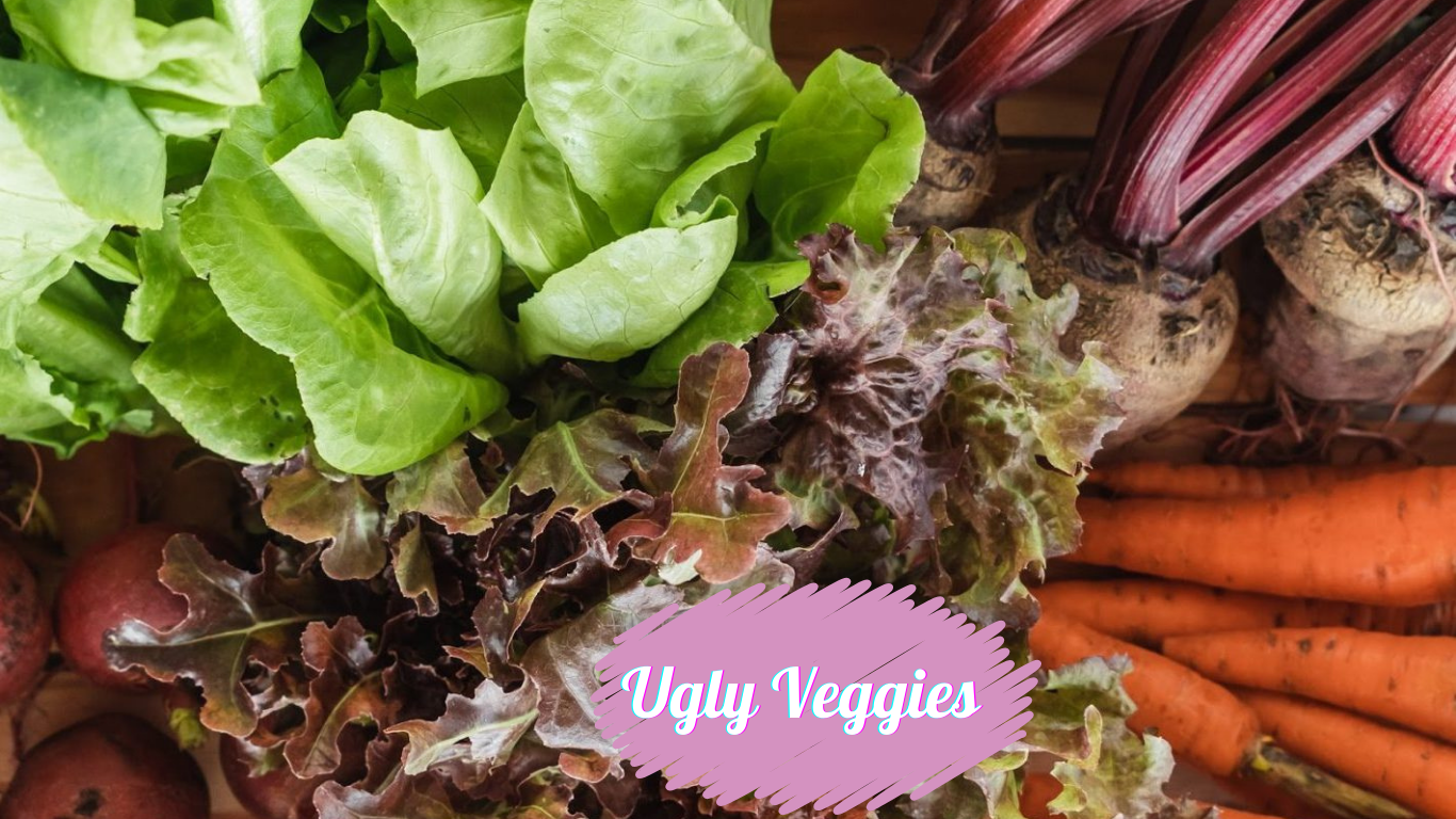 “Ugly Veggies” – a new platform selling “quality ugly veggies”, an ...