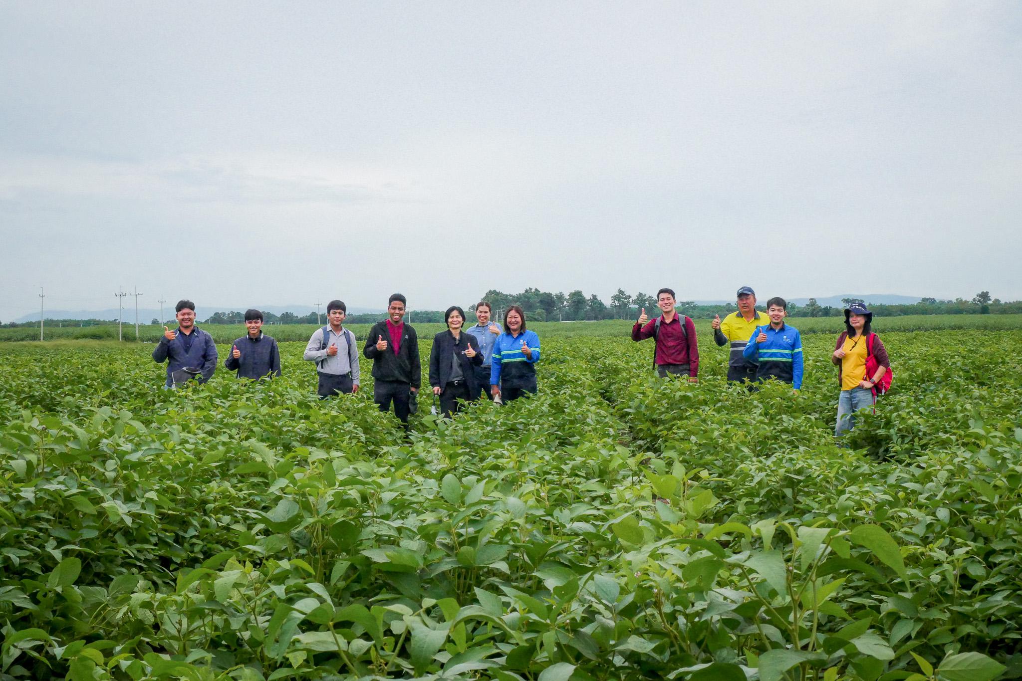 KKU Revives Northeastern Soil with Innovative Mor Kor 60 Soybean ...